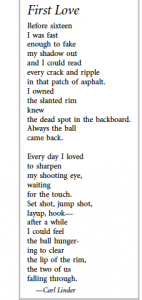 Making Room For Poetry in the Common Core Era