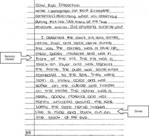 Descriptive Writing: Just Right for Science Class