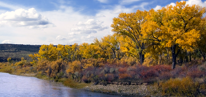 How School Leaders Can Gain from the "October Oasis"