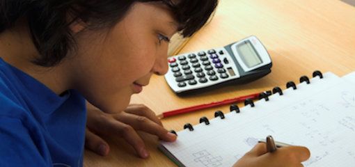 Problems? Optional Homework in Math Class