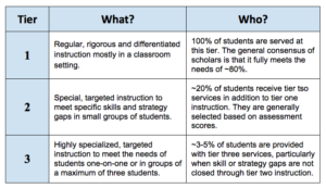 What Do I Do? Strategies for Multi-Tier Systems of Support