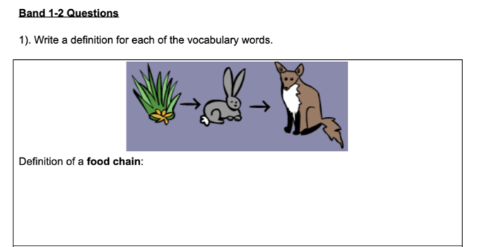 Designing Summative Tests with English Learners in Mind