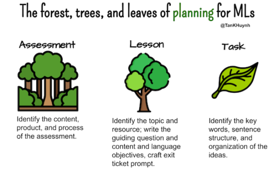 Lesson Planning: Begin with the Forest, then Trees, Leaves