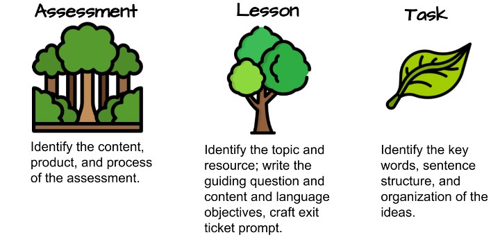 Lesson Planning: Begin with the Forest, then Trees, Leaves