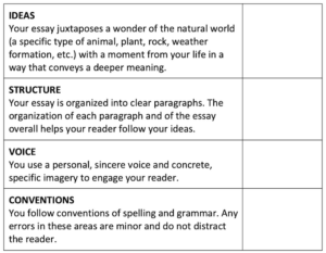 Give Your Students Writing Feedback That Makes a Difference